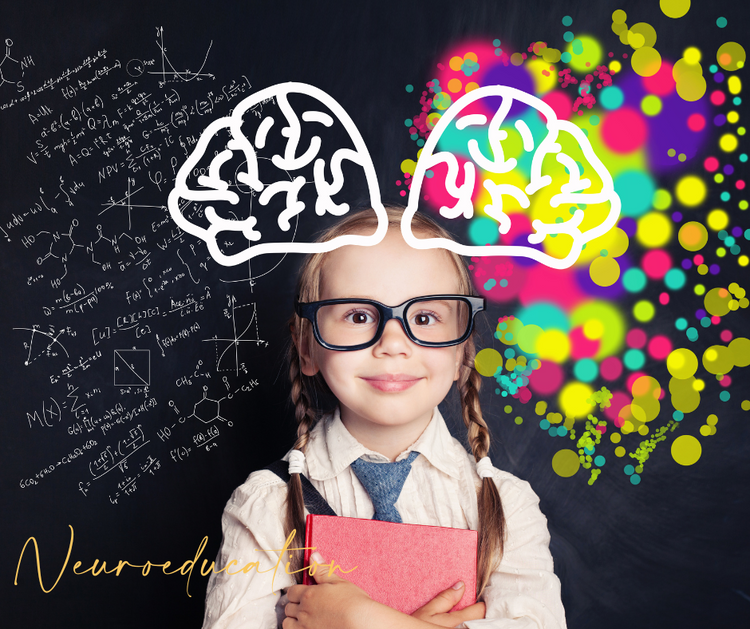 Neuroeducation: Paving the Way for Inclusion and Excellence in Neurodi ...